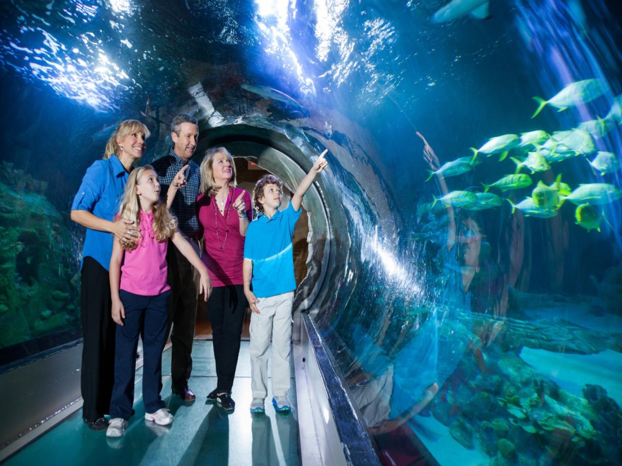 SEA LIFE Orlando | Experience Kissimmee