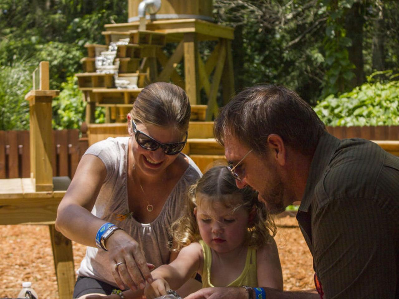 Dinosaur World | Experience Kissimmee