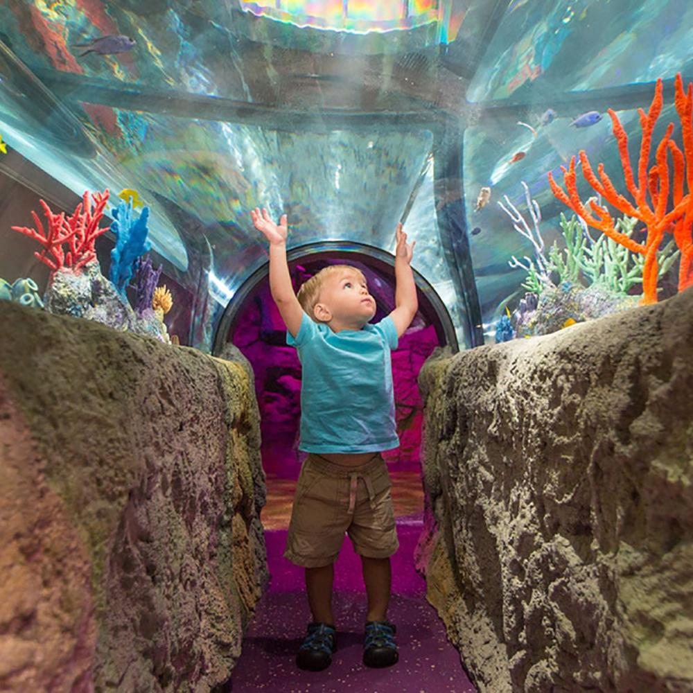 Cool Review About Things To Do Indoors In Kissimmee
